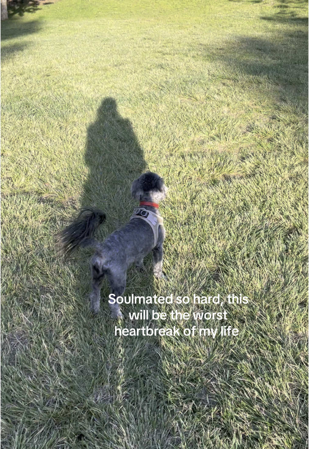 Rita Noorzay (@ritanoorzay) - Urlebird