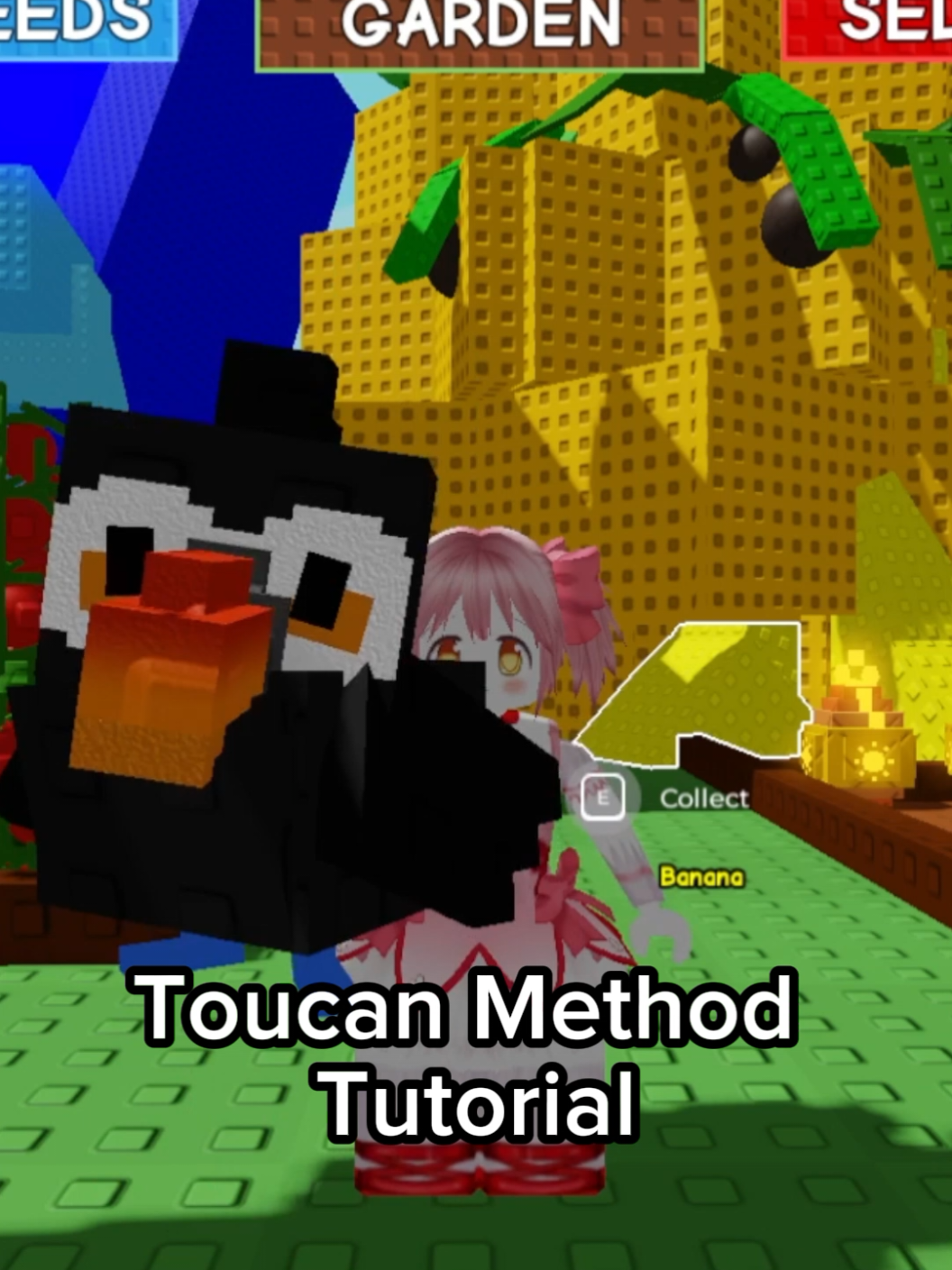How to do The Toucan Method In Grow A | Madoka (@madokaxzv)