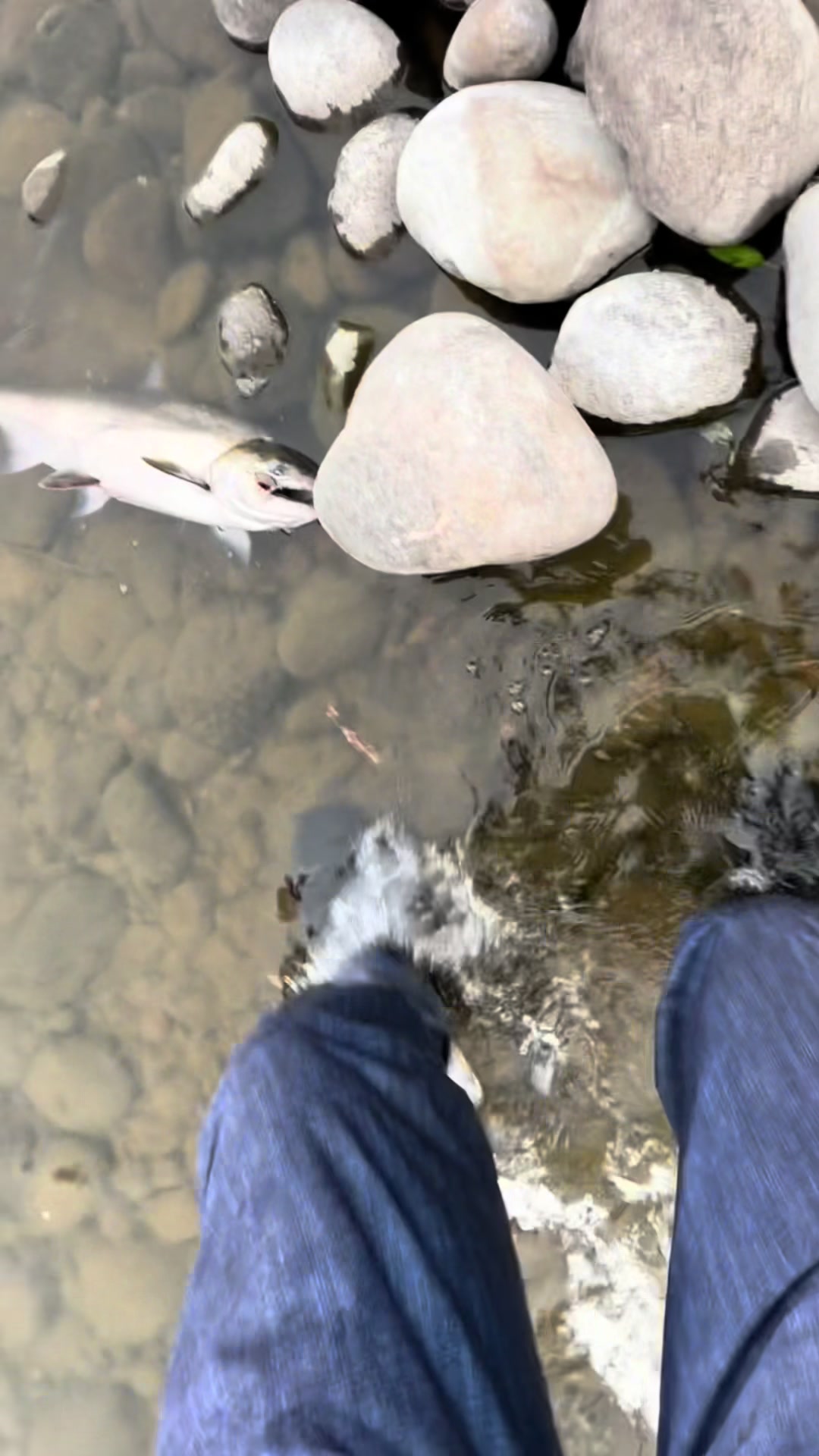 Bloom Fishing (@bloom.fishing) - Urlebird