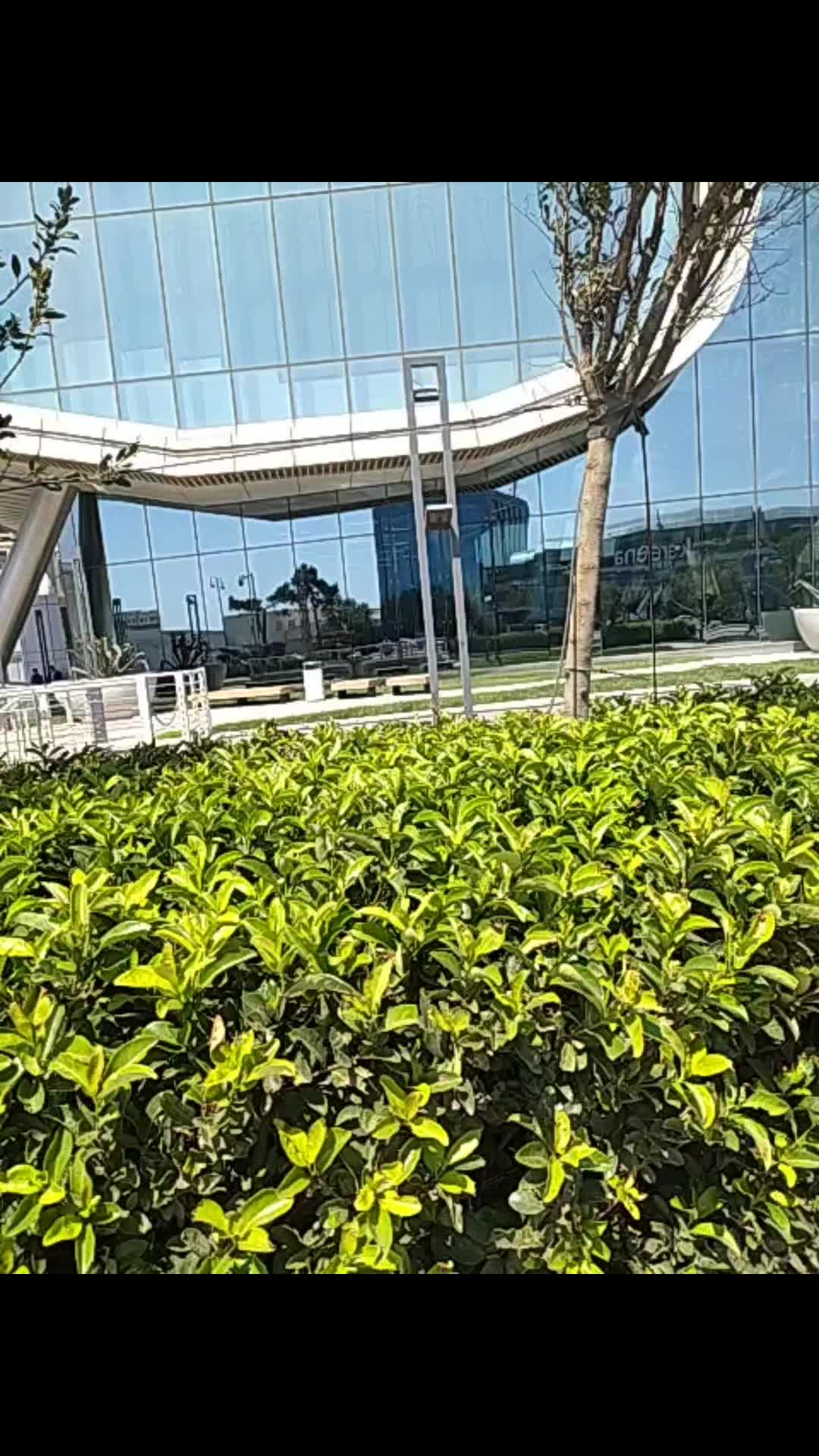 MİLA SS (@ss__mila) - Urlebird