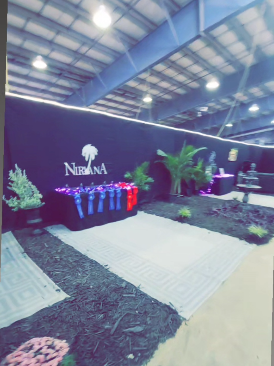 It's almost that time again! 2025 | Emily (@emily_ann23)