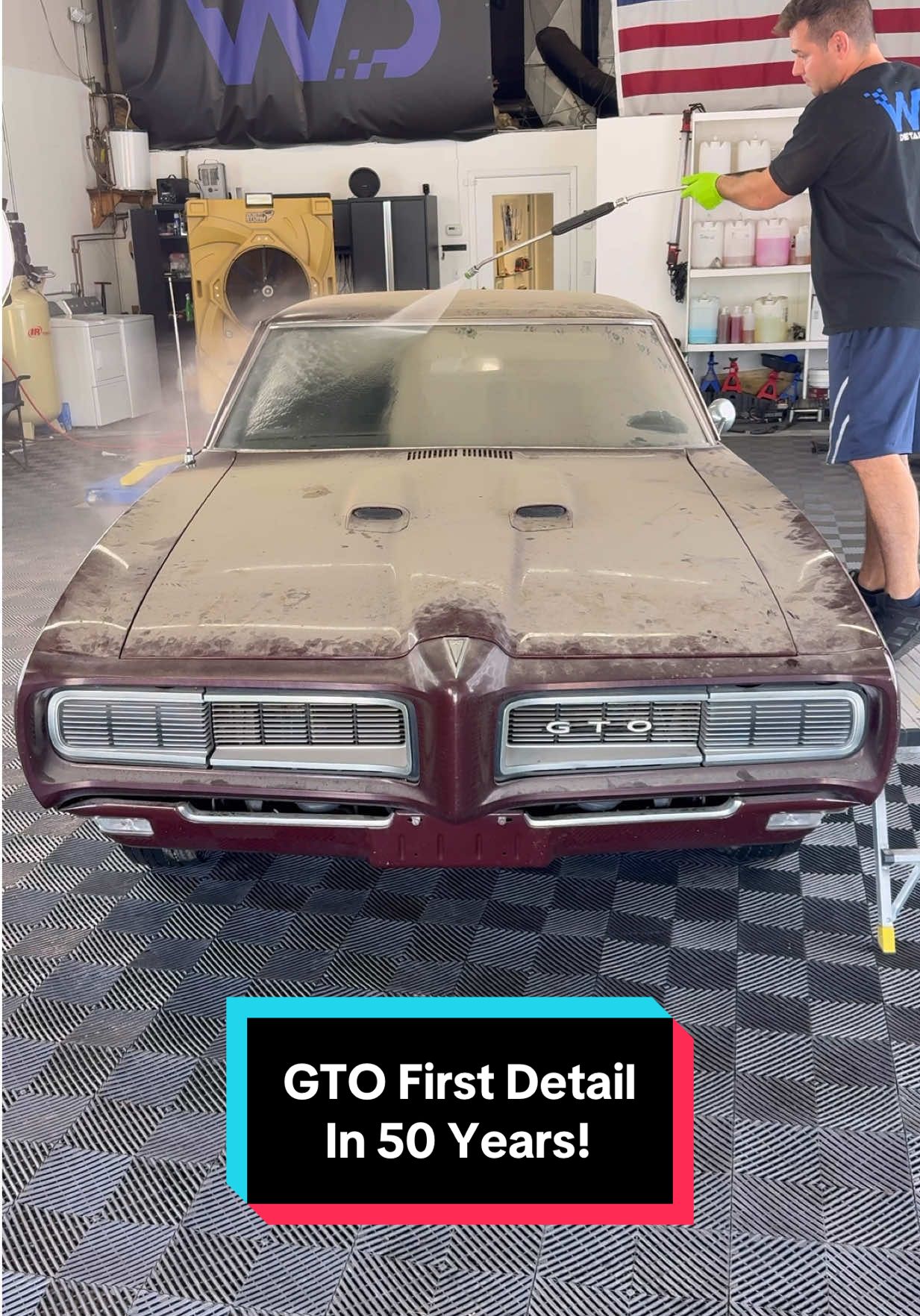 19k Original Miles GTO First Detail in | WD Detailing (@wddetailing)