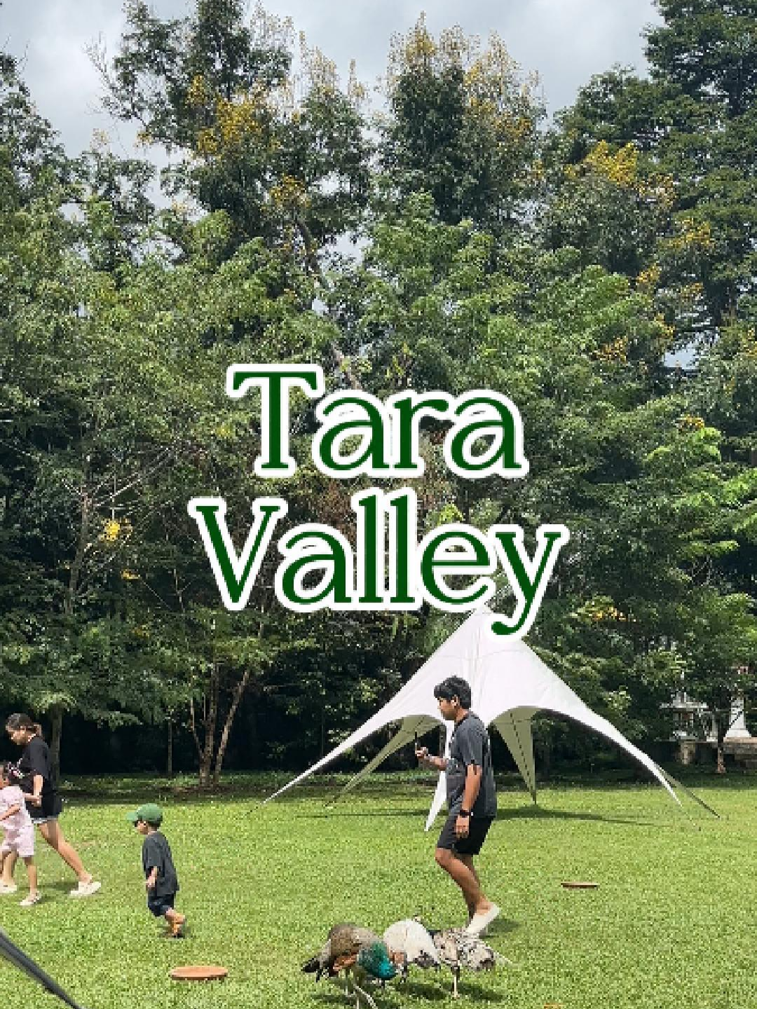Tara Valley (@taravalley.cnx) - Urlebird