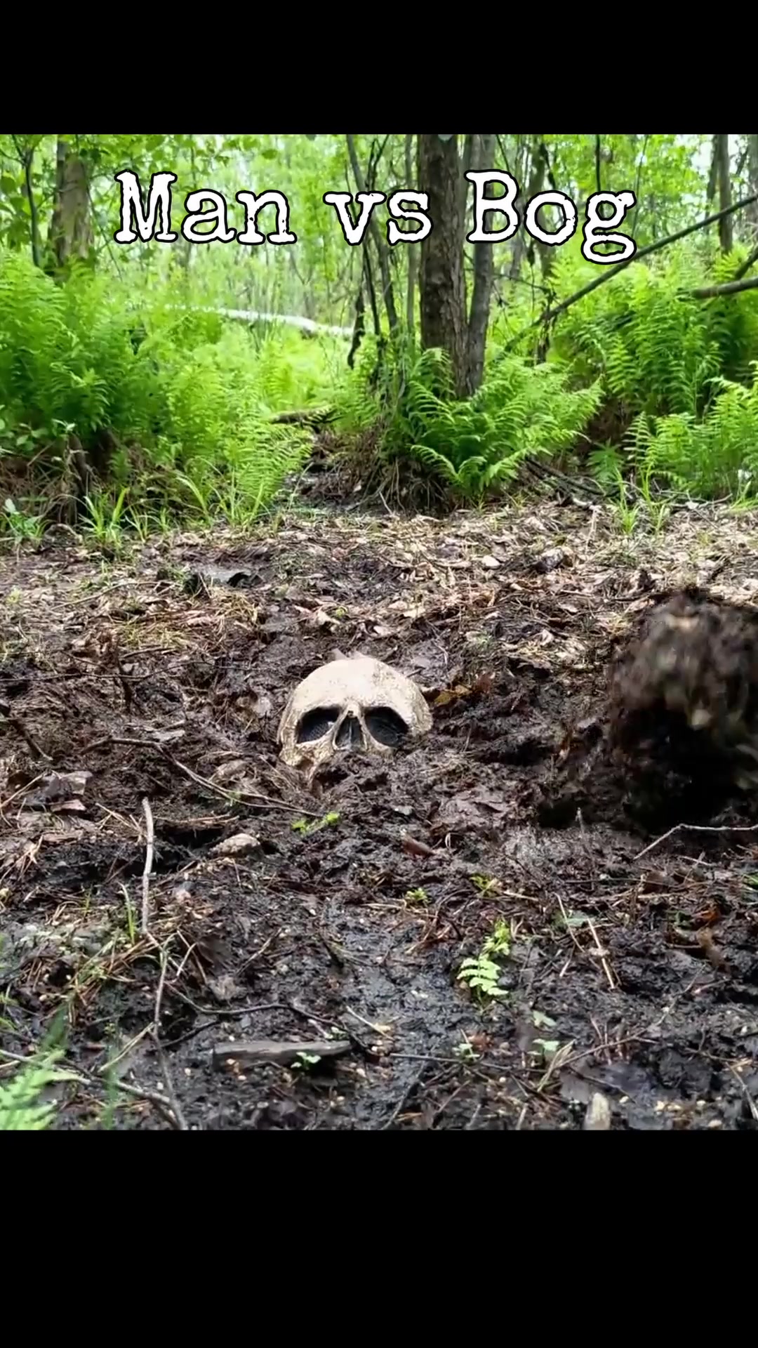 The_Real_Bog_Ghoul (@bog_ghoul) - Urlebird