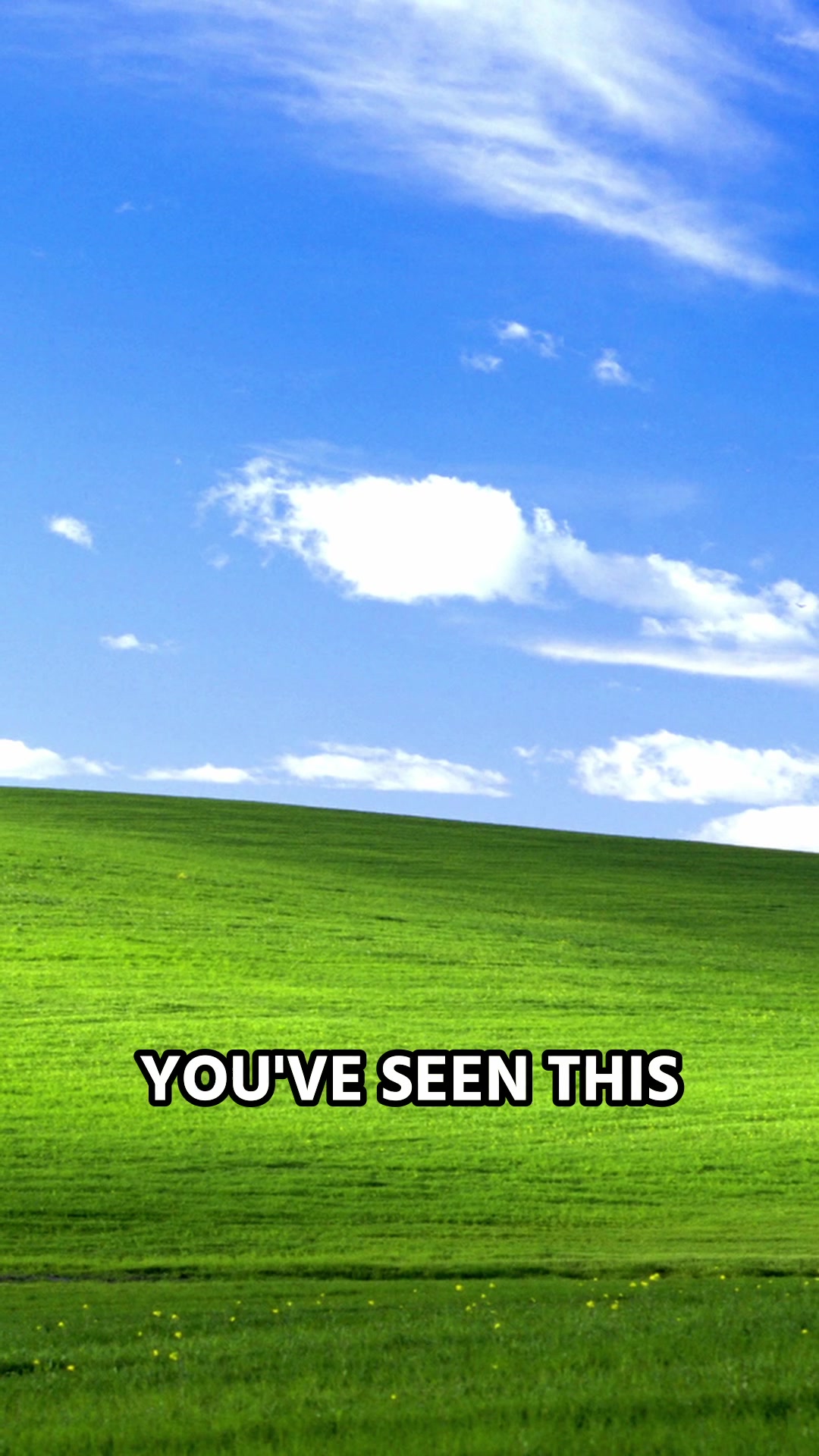 The Story Behind Windows XP's | Envision Video Services ...