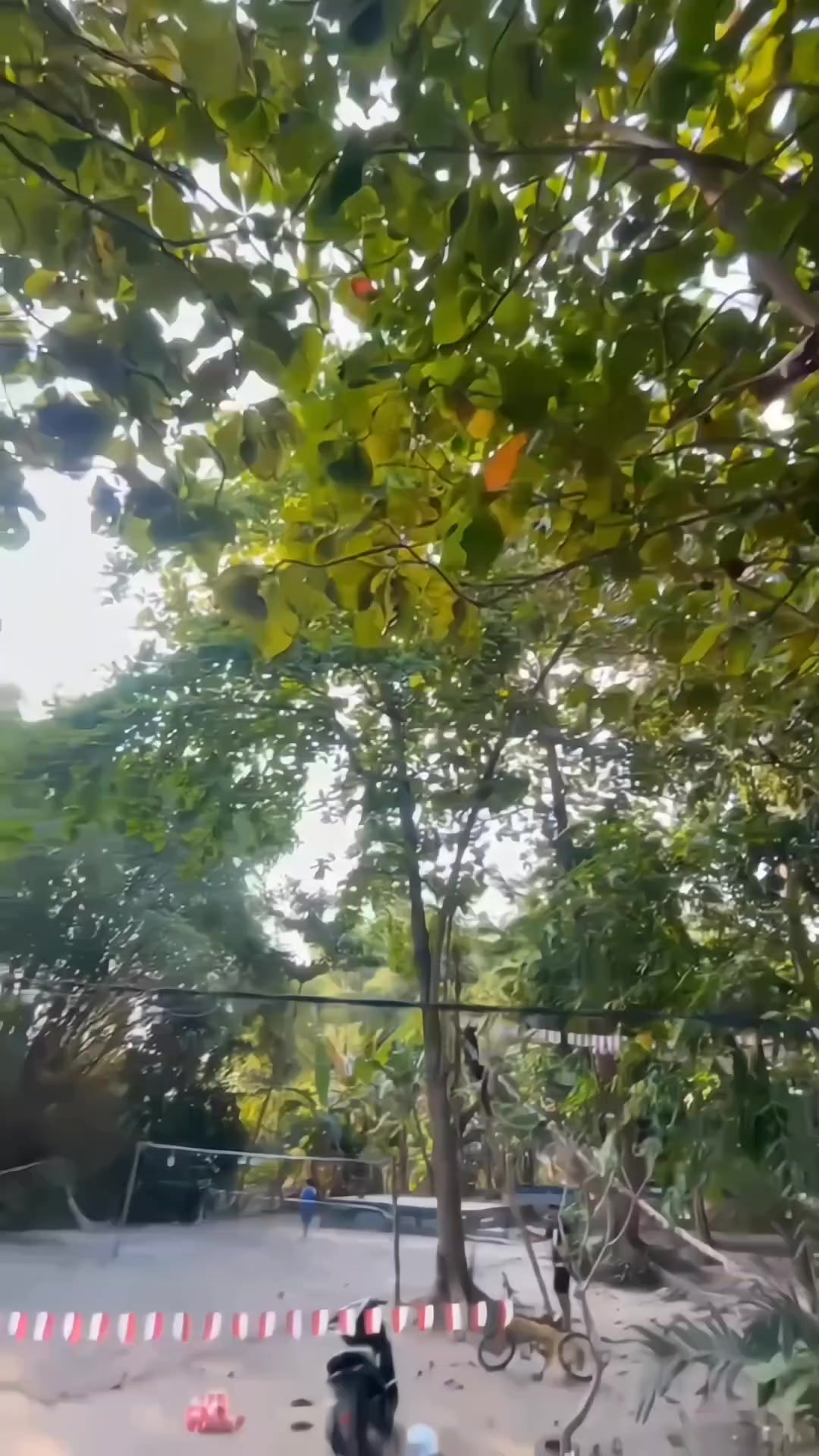 Jangan Lupa Datang Dan Meriahkan Lomba | Widya Wahana Bhakti (@wwb_mandingserutngentak)