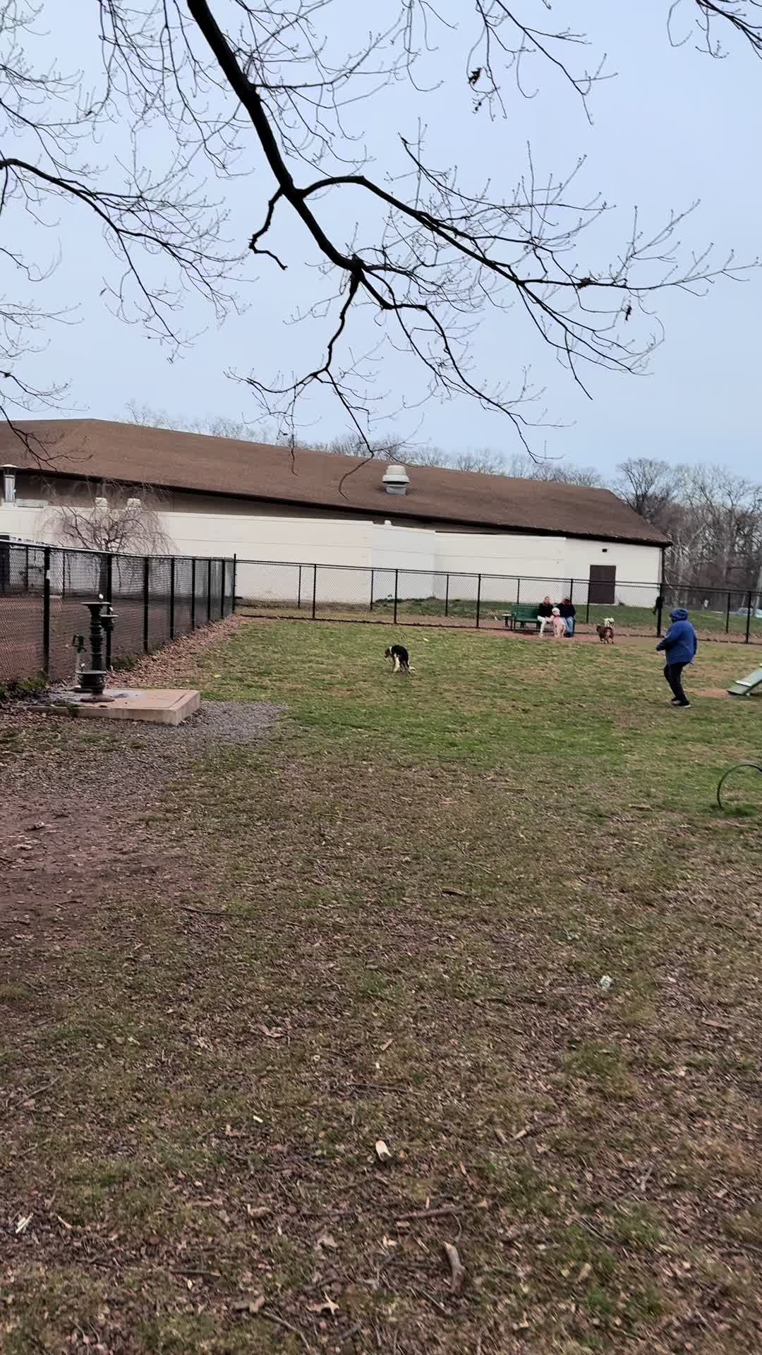 gangu kanda #gangu__chetri #gangu | PMS KANDA (@pms.kanda)