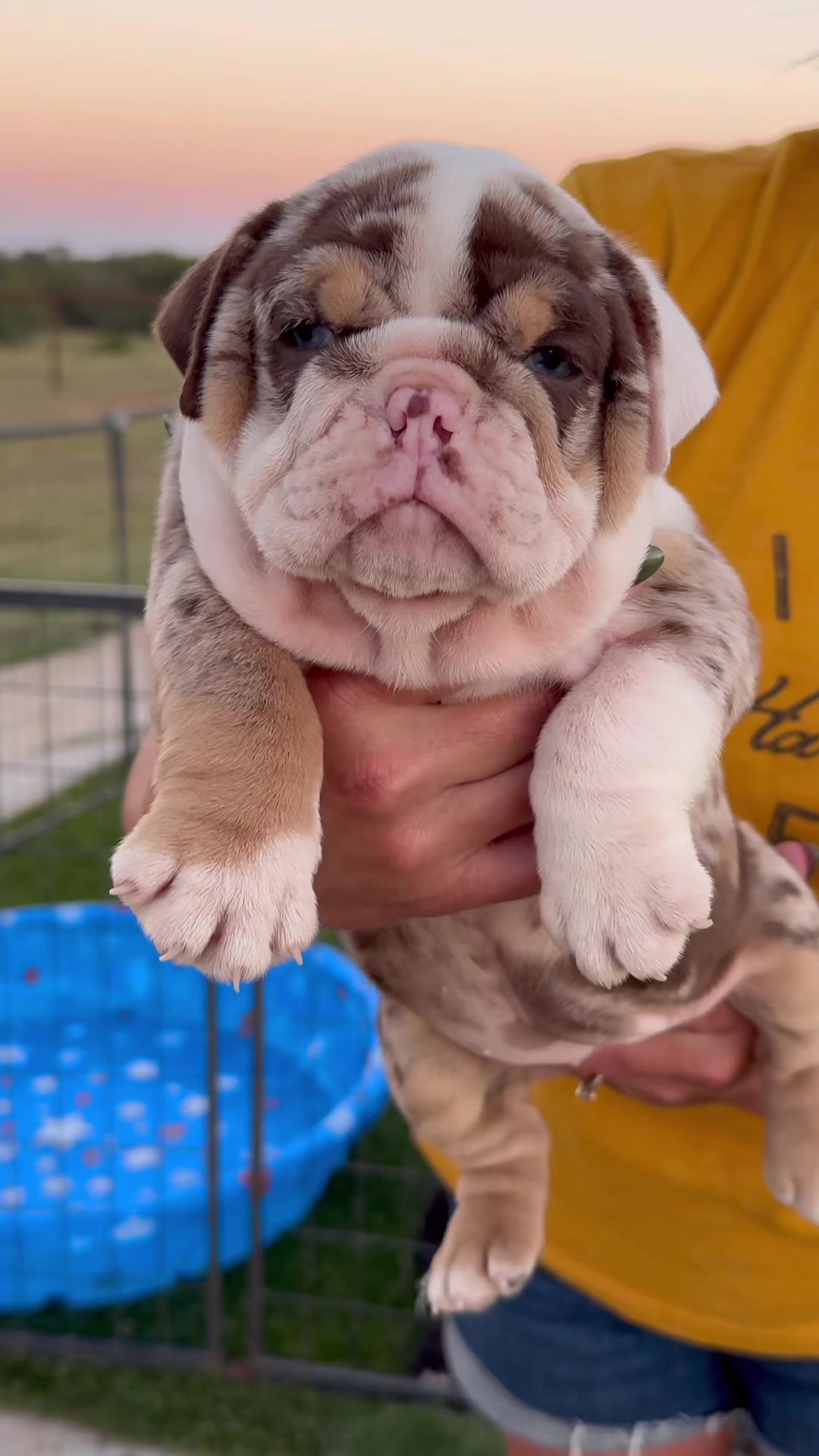 ManMade Kennels (@officialmanmadekennels) - Urlebird