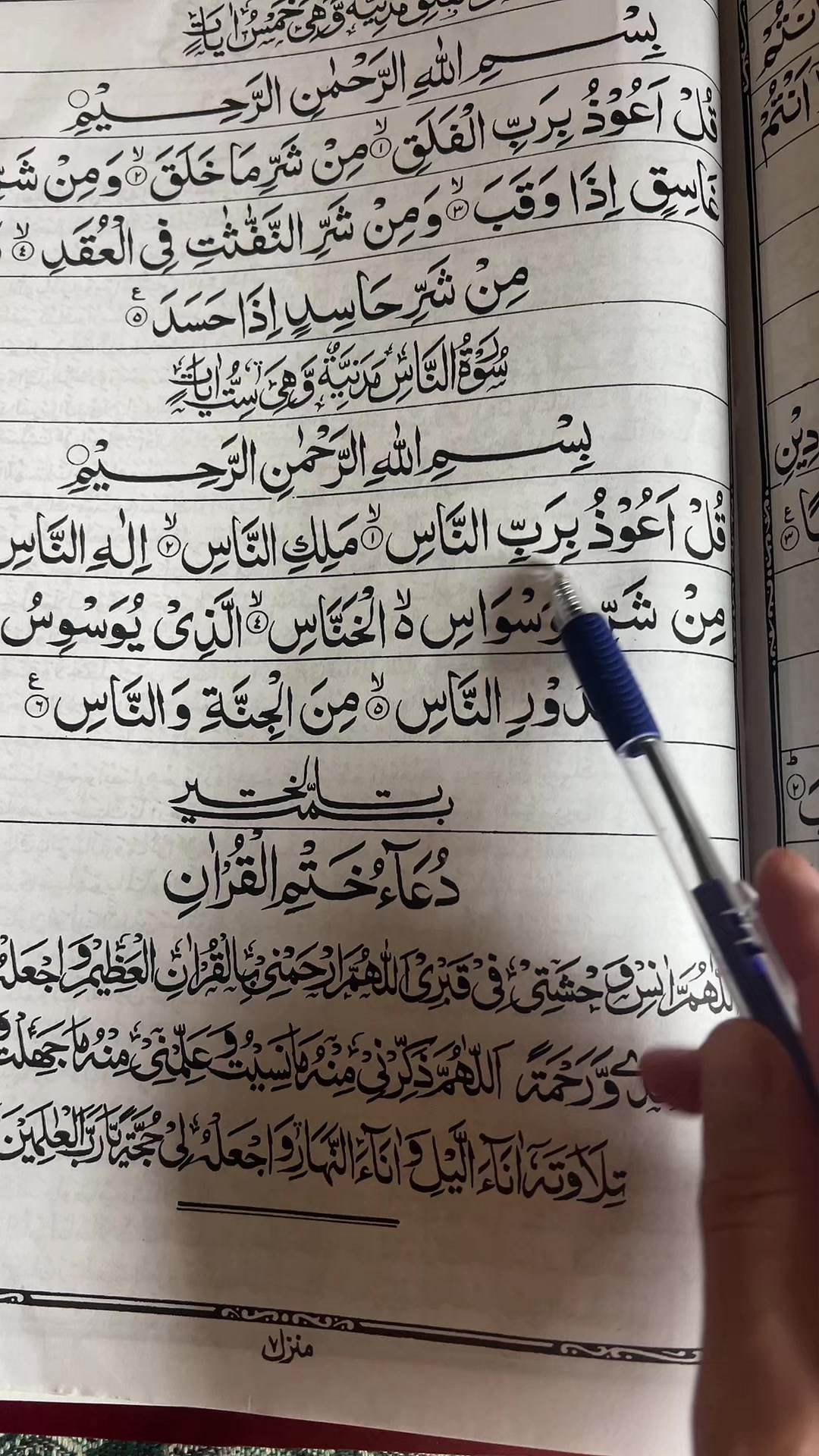 Up to Faster 4 Parison to Bo & Bobo | Ciro Nunziata (@cironunziata7560)