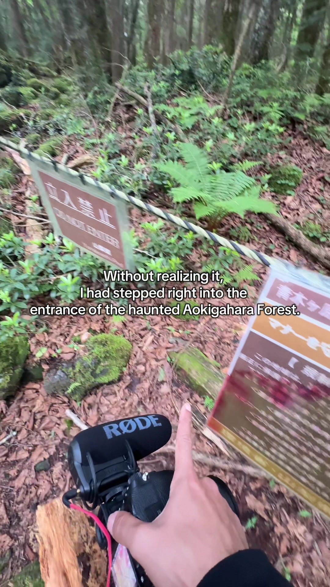 Aokigahara is the most scariest forest | John Yurei (@johnyureiofficial)