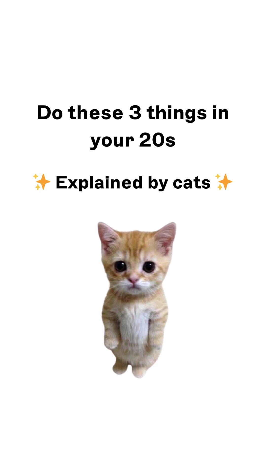 Kitty explain 3 things you need to do | Professor Kitty ...