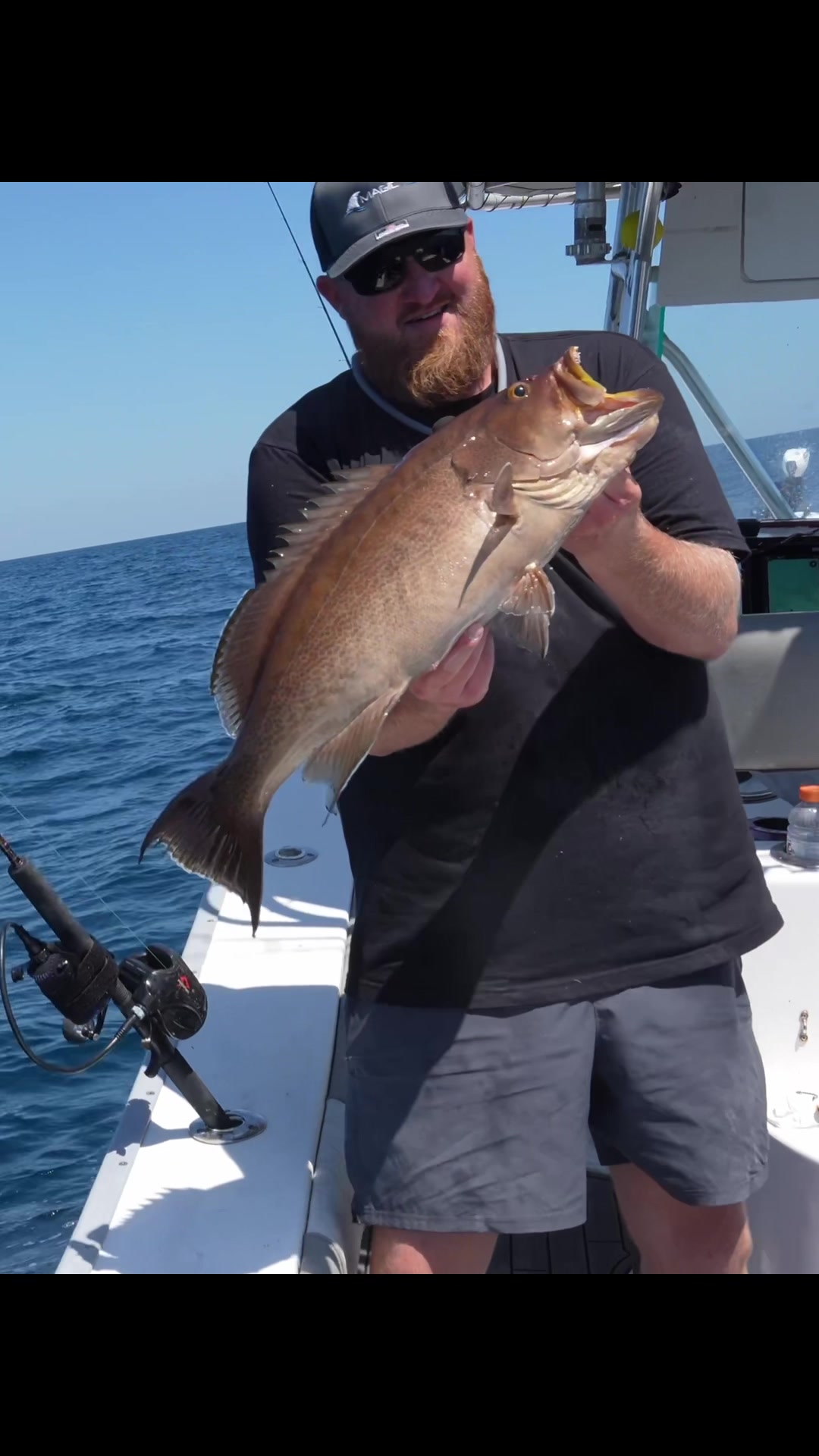 The Big Dan Show (@the.big.dan.show3) - Urlebird