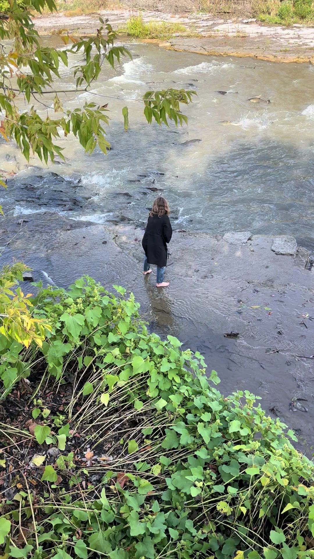 1.66K hearts, 33 shares | ZaneVerbeck (@zaneverbeck)