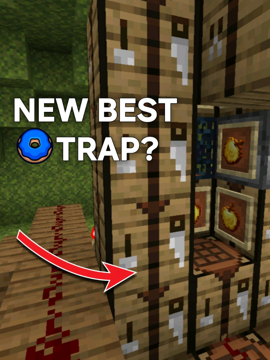 The Best NEW TP Trap on Donut SMP | Luaxs (@luaxs024)