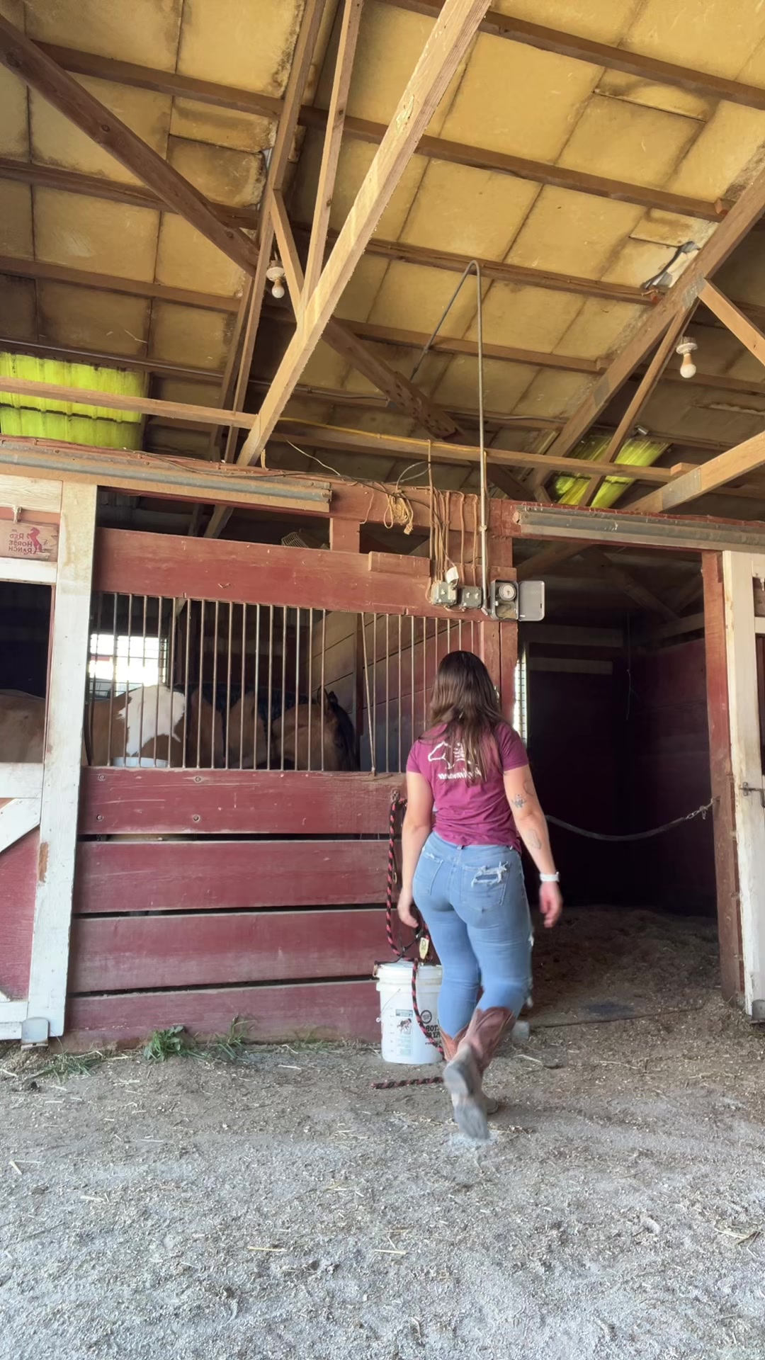 Nicky (@itsnickynaple) - Urlebird