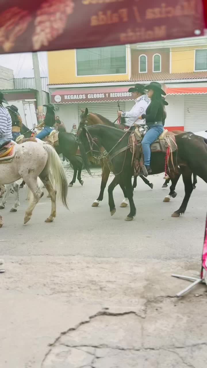 How to Get Ssw floppy,Wrath scylla | bludtwinkels (@bludtwinkels000)