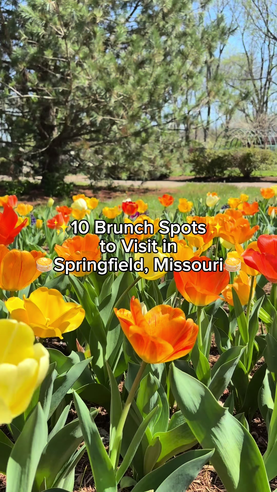 10 Brunch Spots to Visit in | Springfield, Missouri (@lovespringfield)