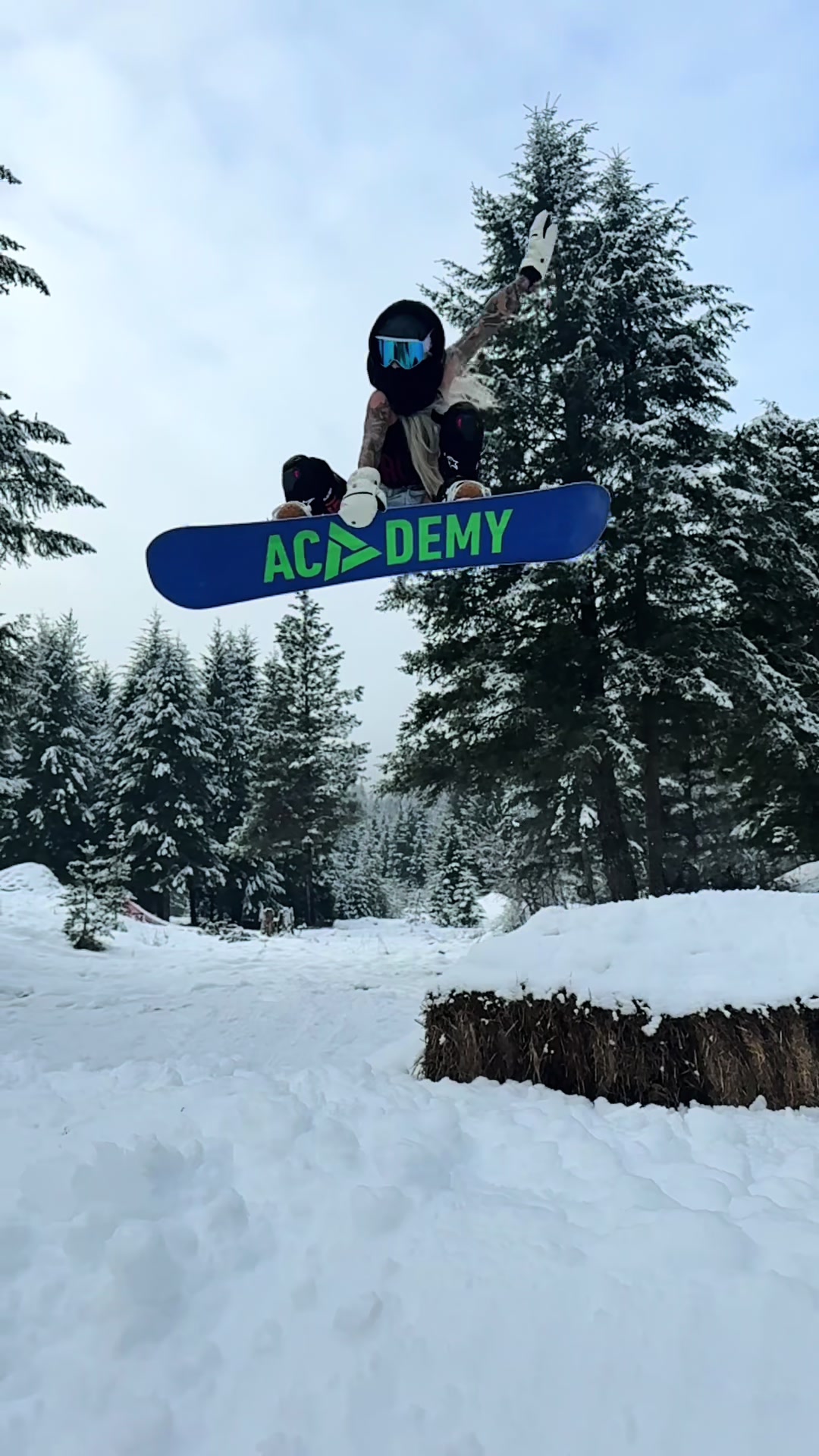 Yana Roney (@powderfluffgurl) - Urlebird