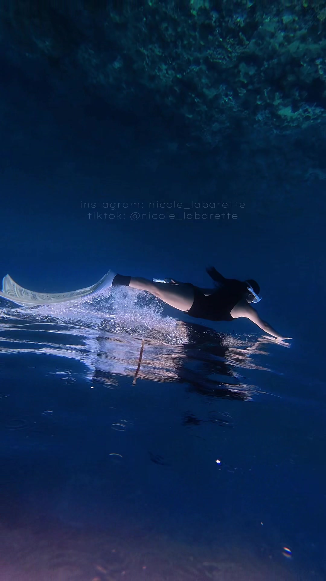 nicolelabarette (@nicole_labarette) - Urlebird