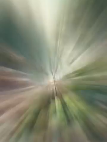 The Muhammadan Way Page (@knowledgeoftheuniverse) - Urlebird