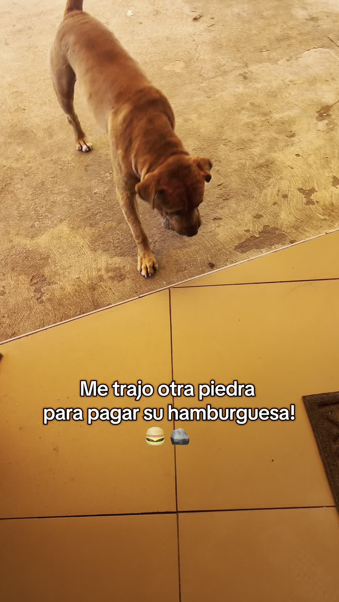 How to Get Ssw floppy,Wrath scylla | bludtwinkels (@bludtwinkels000)