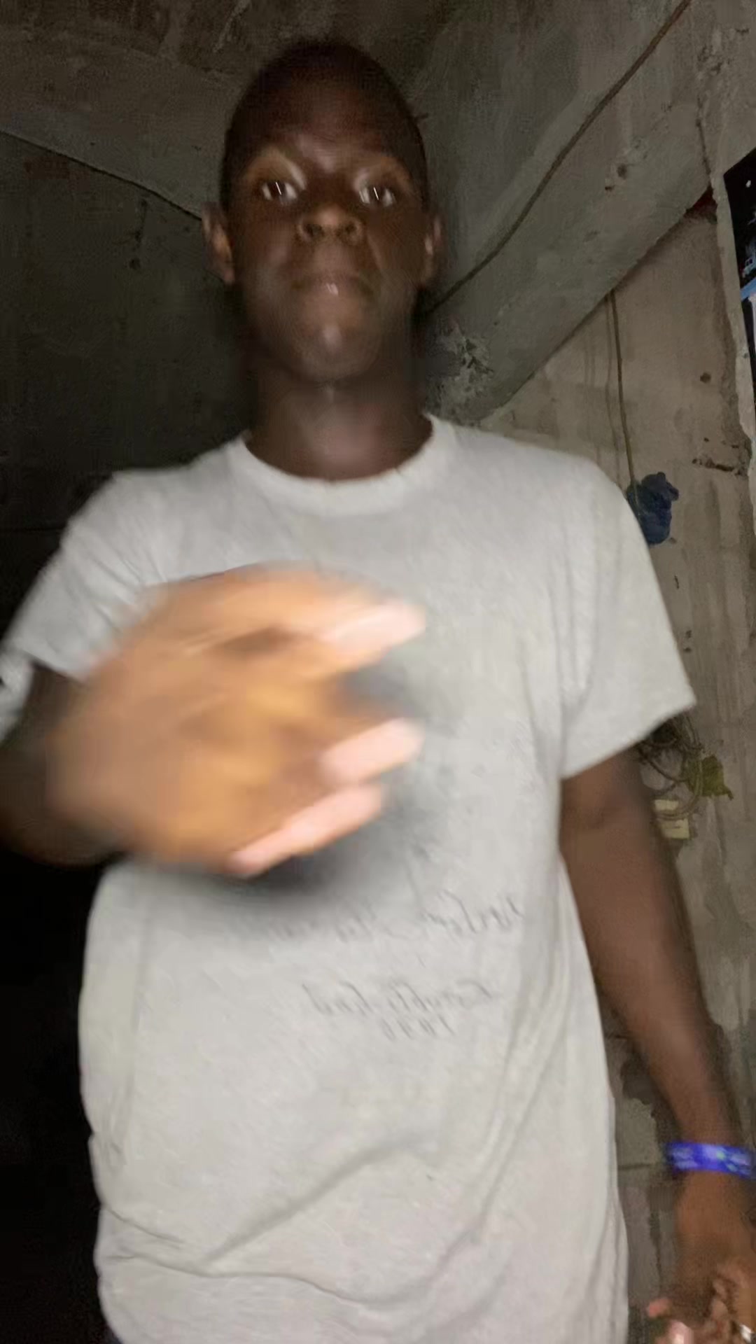 Best berry farm on donut smp with | vyn3tra (@vyn3tra)