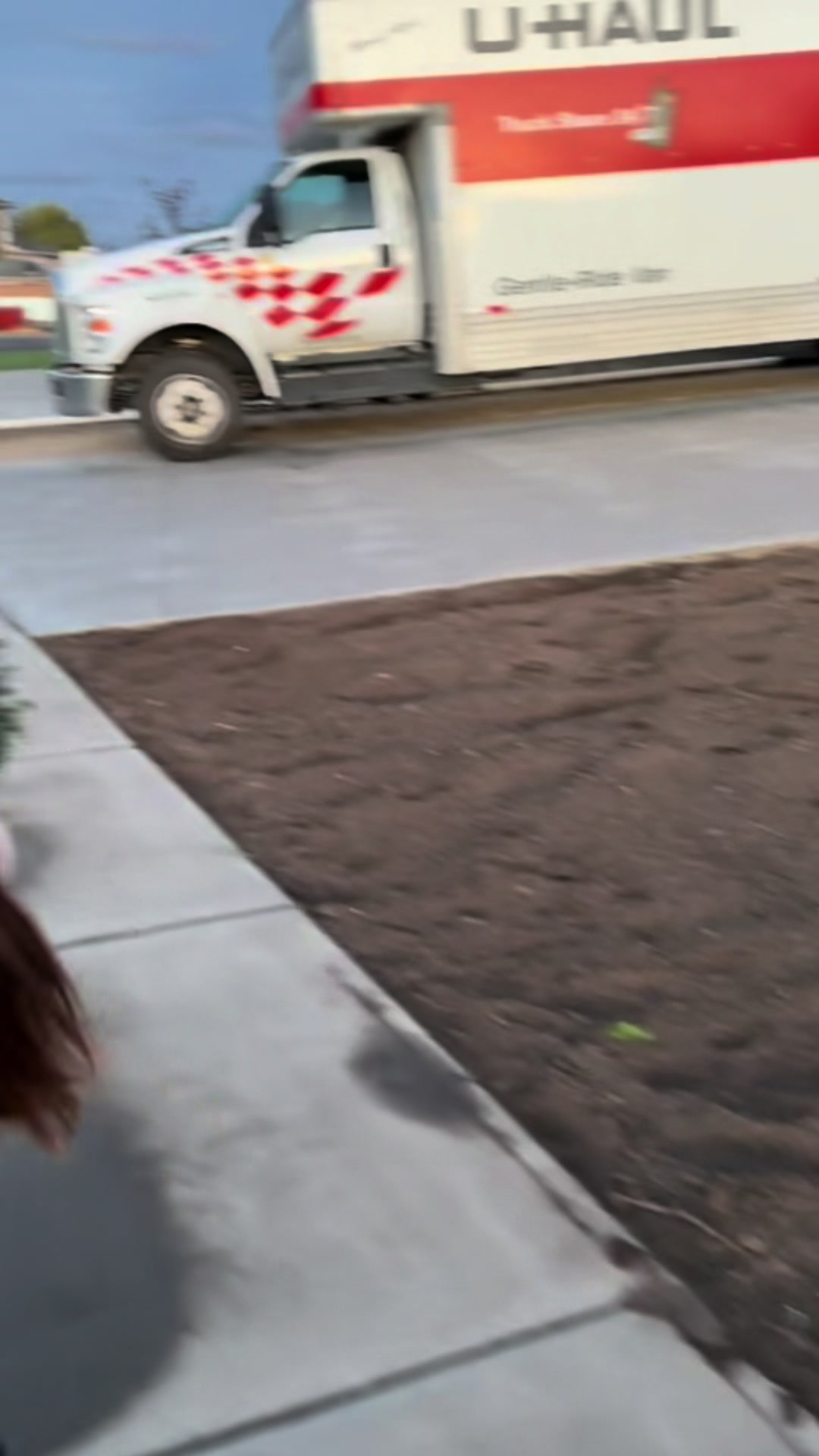 Daisy jones and the sixth is maybe one | Lola clark (@scoobiezoobie)