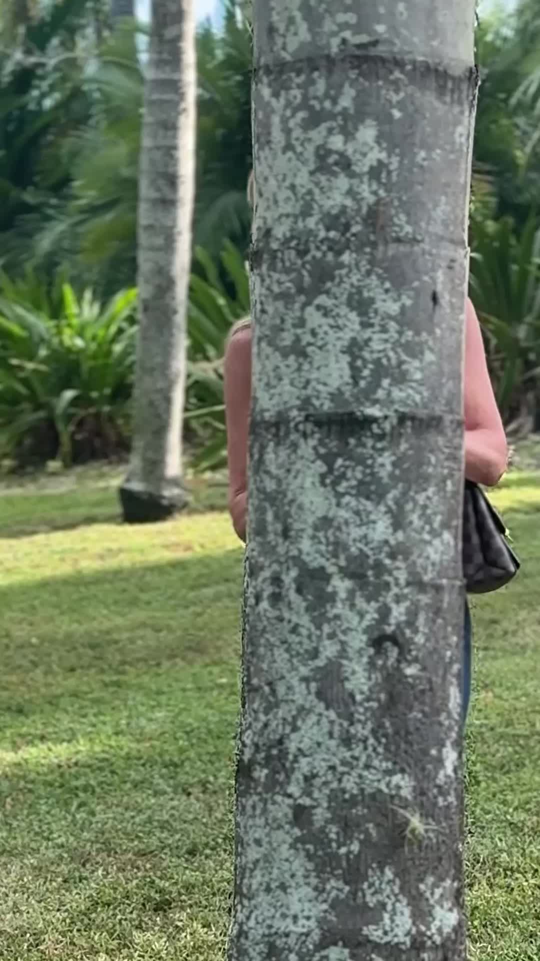 Charice (@pixel_pixie_ca) - Urlebird