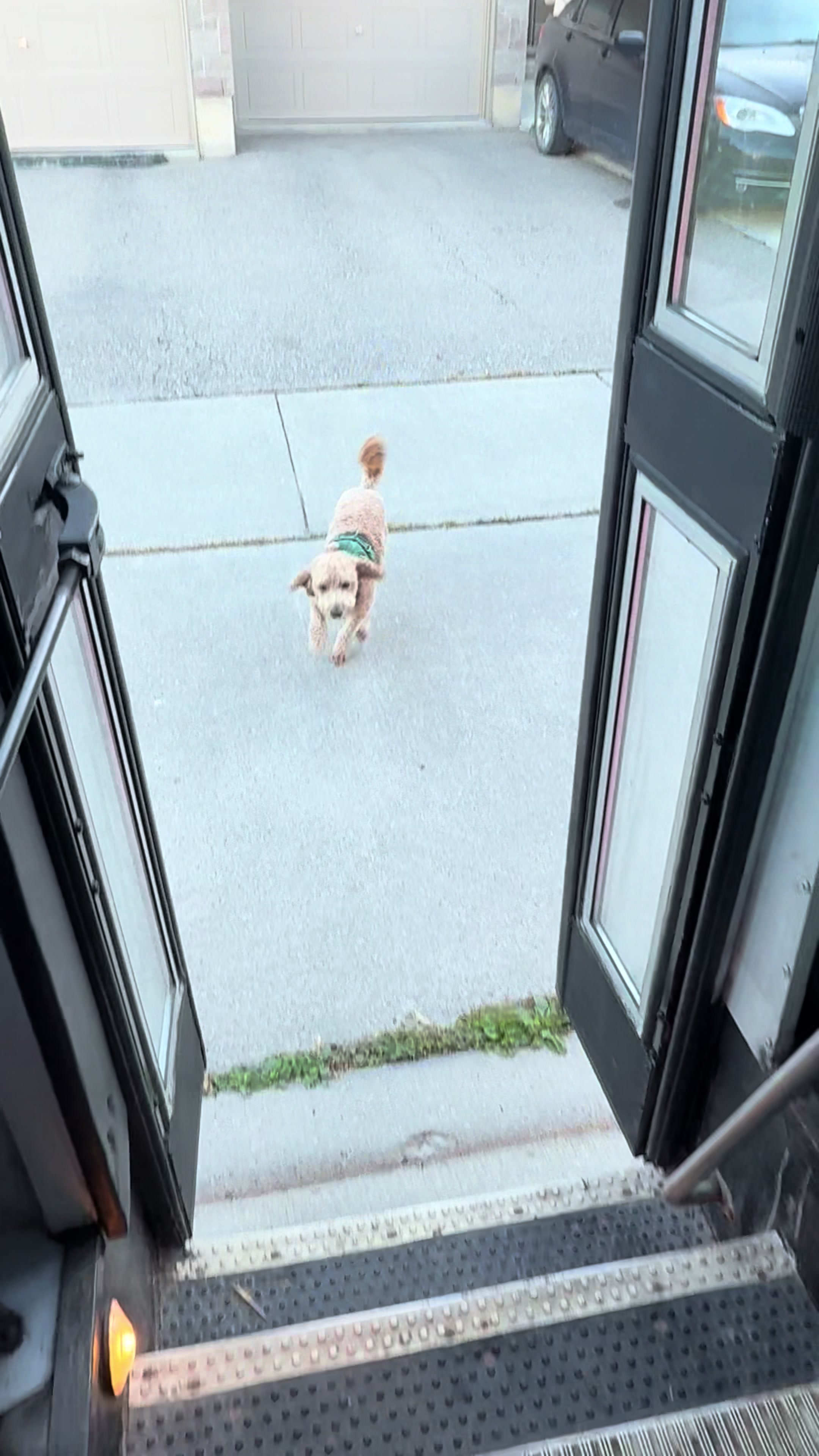 Leetcode just got easier 👏 #cs #compsci | maya’s spam (@lifehackswithmaya)