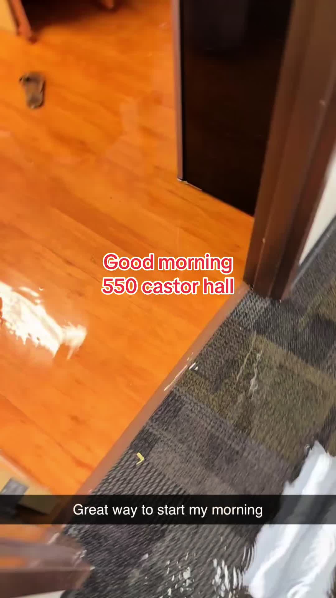 Rampage dance tutorial 🔪👻 • • • | 𝐓𝐡𝐞 𝐆𝐡𝐨𝐬𝐭𝐟𝐚𝐜𝐞 (@frenchghostface)