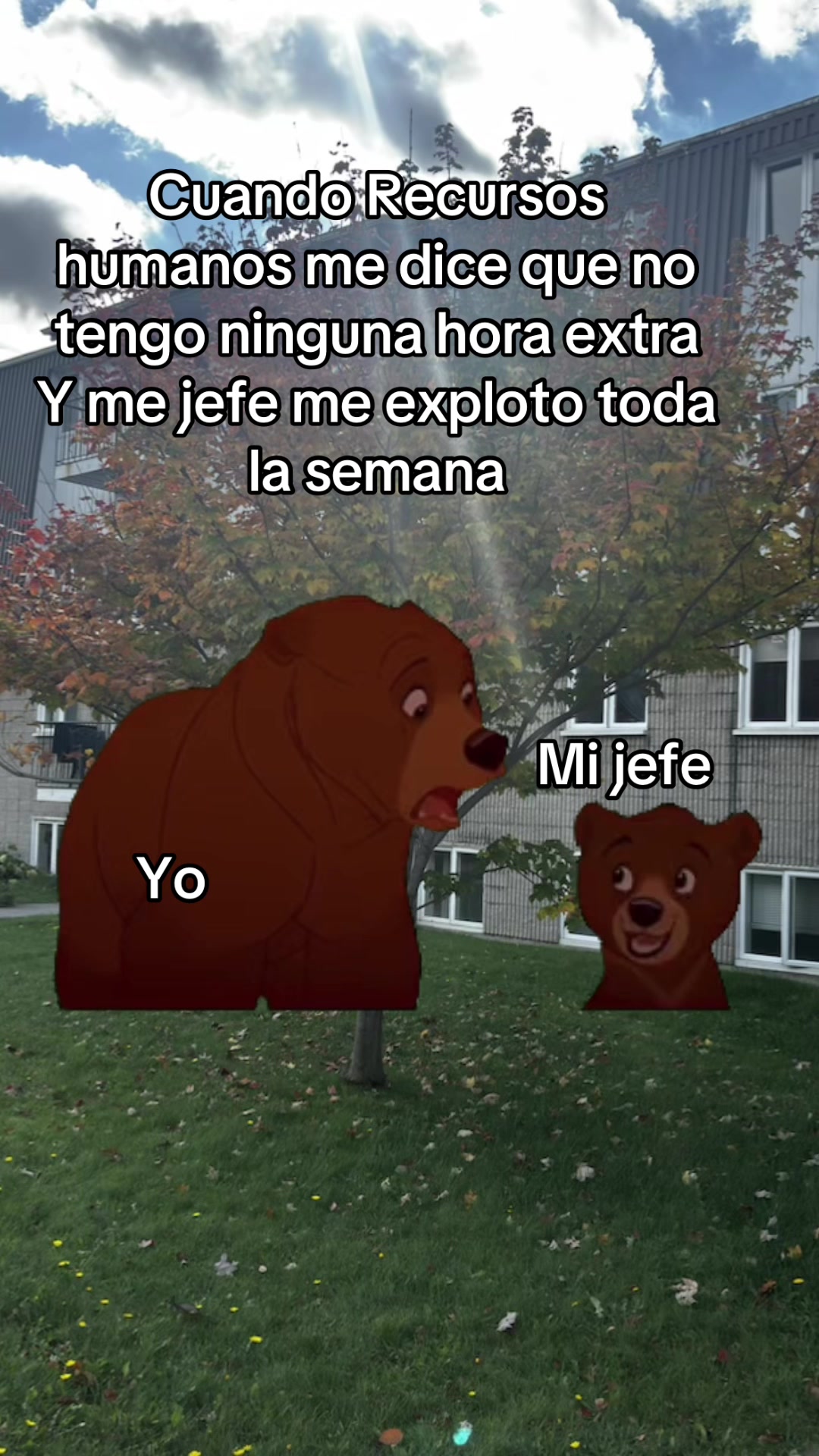 I Am Cat USB Code + Computer Passwords | itsdavidduggan (@itsdavidduggan)