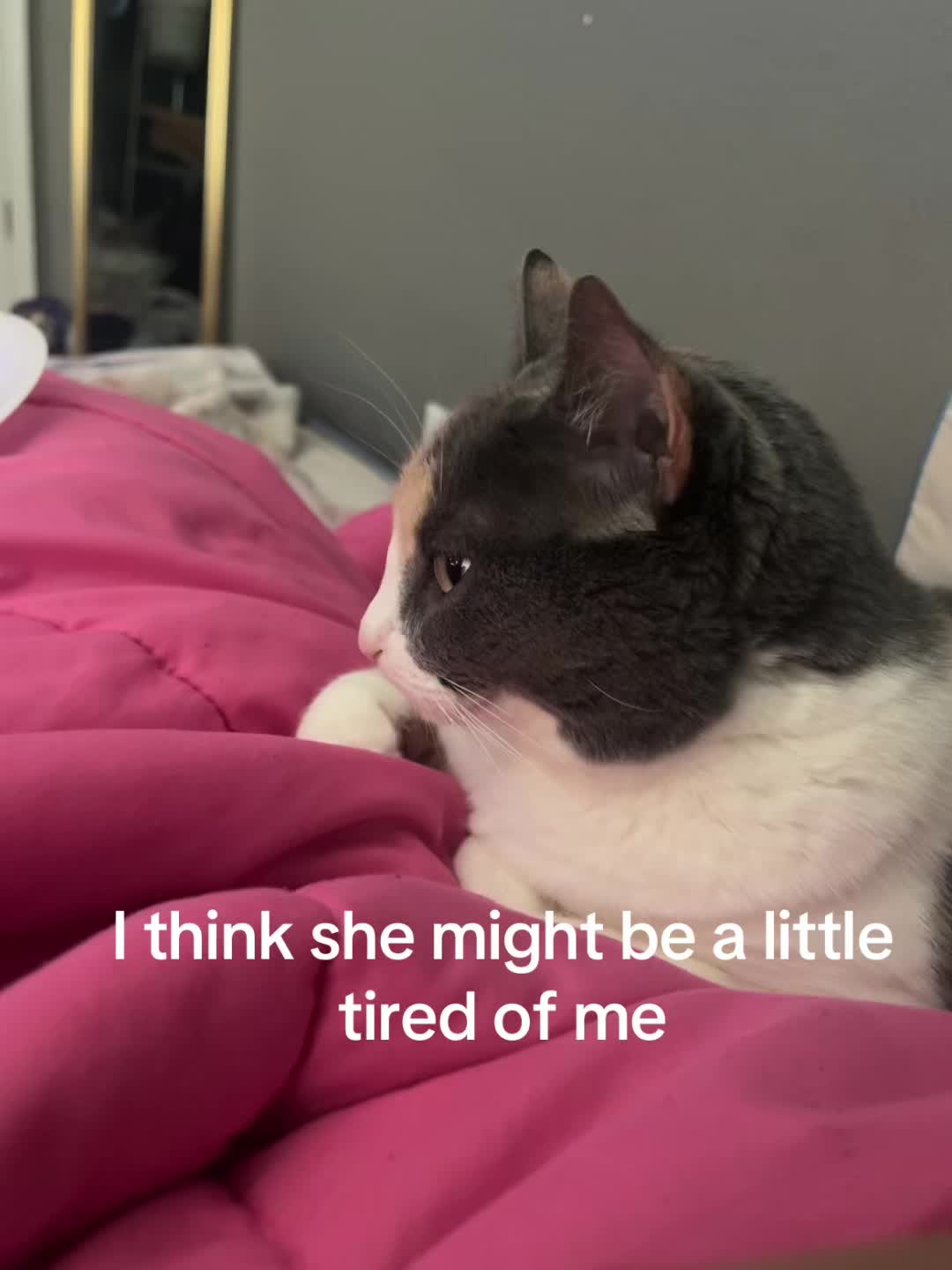 Animation by LexL Animation 💃 | Nice Art (@niceart.off)