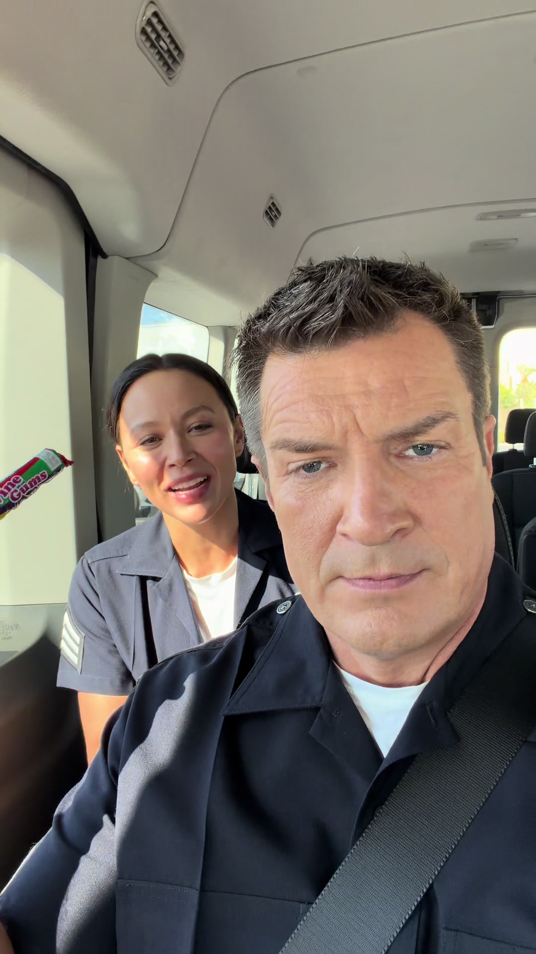 Vanlife mit Bestbuddy #chihuahua | Linda Lanu (@linda.lanu)