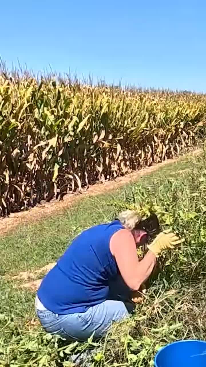 L&M Country Living (@l_m_country_living) - Urlebird