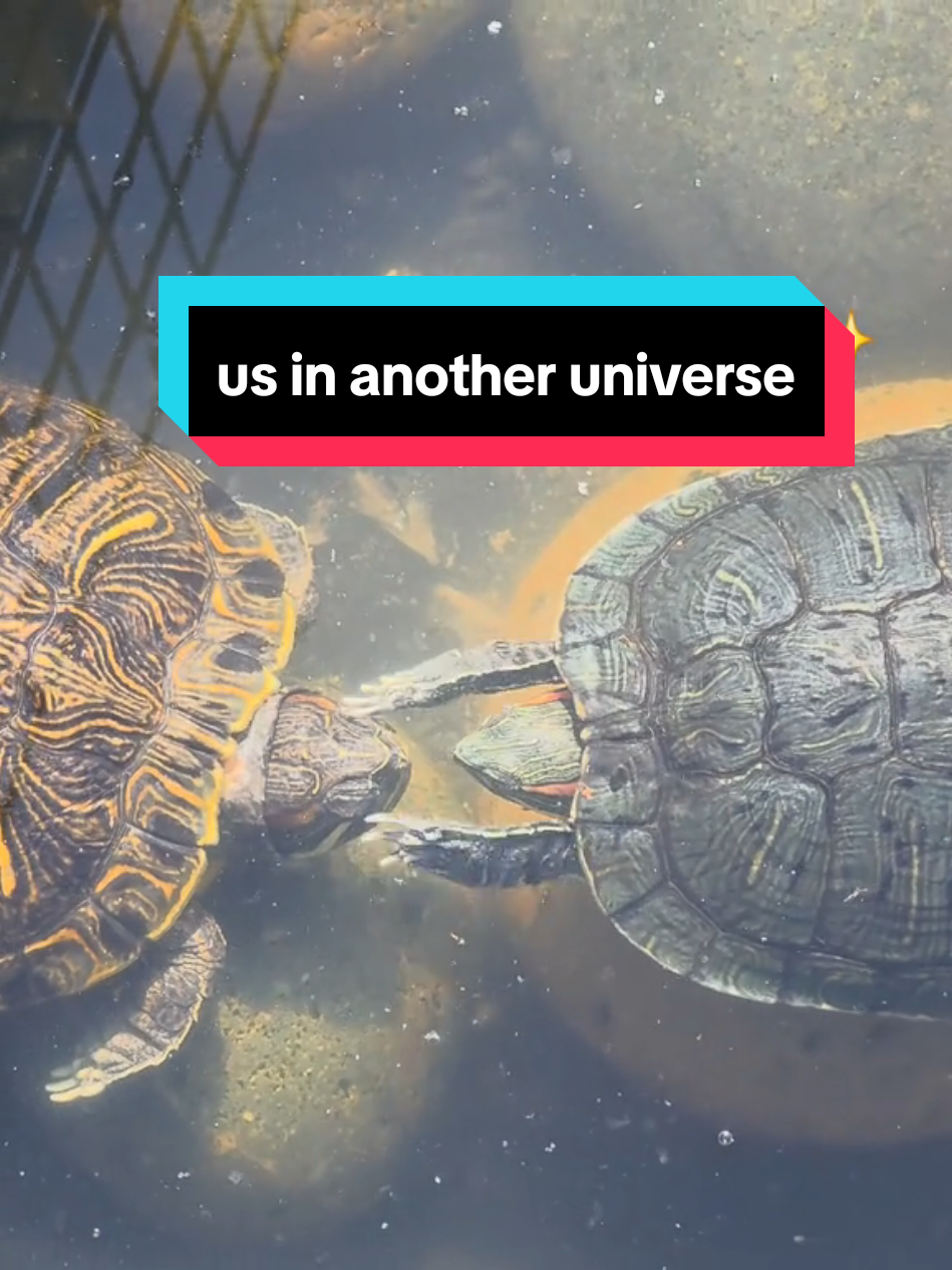 Morocco vs Comoros 𝐋𝐢𝐯𝐞 Match Today | tasyavcob37 (@tasyavcob37)