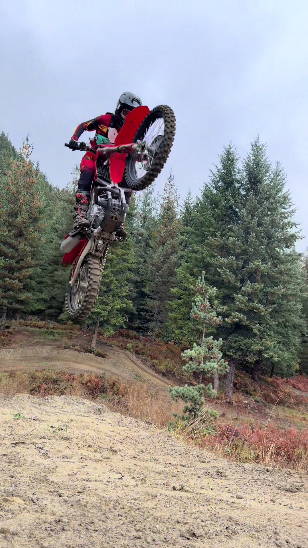 Yana Roney (@powderfluffgurl) - Urlebird