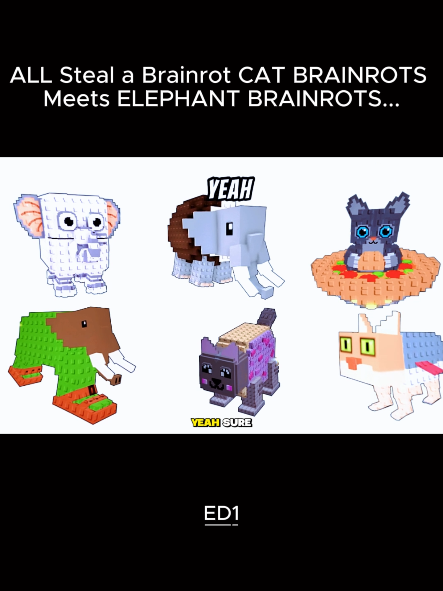 ALL Steal a Brainrot CAT BRAINROTS | sigmainusa (@sigmainusa)