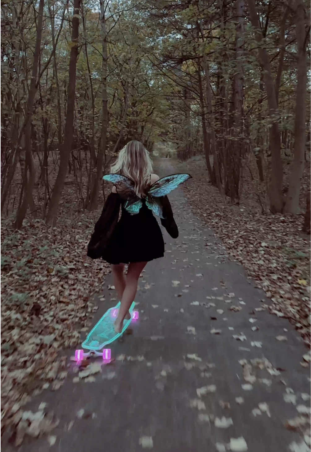 Sterre Meijer (@surfsterre) - Urlebird