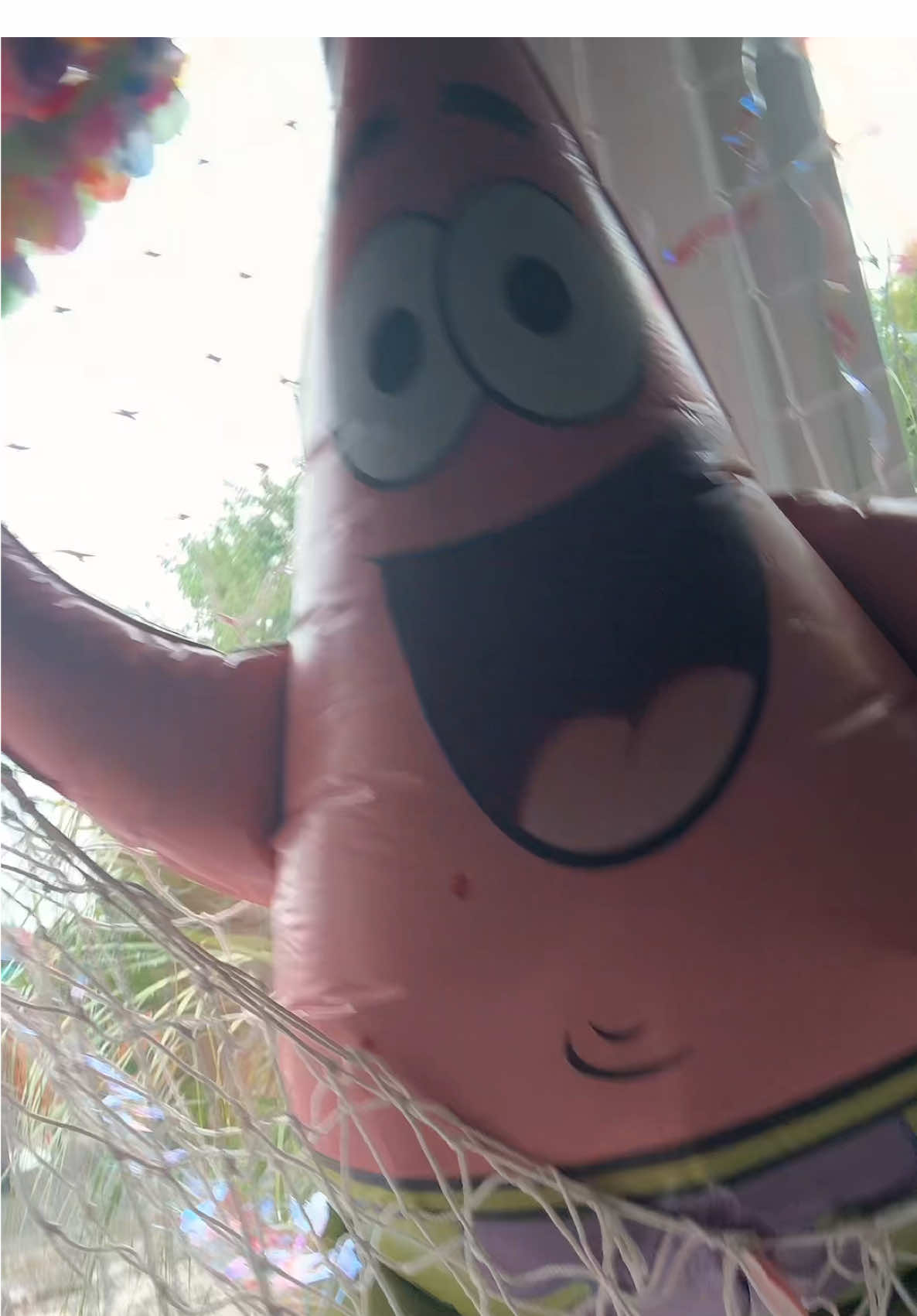 Carley (@carleycakeee) - Urlebird