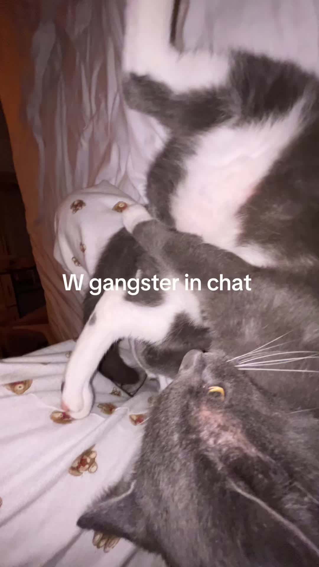 22.89K hearts, 1.31K | em sant (@emily_santtt)