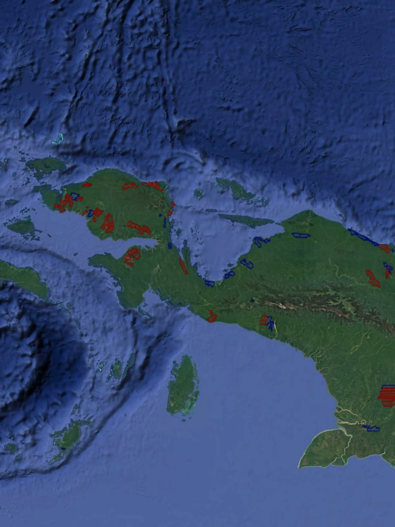 Konsesi Sawit di Pulau Papua Ini | Satelit Earth (@satelitearth)