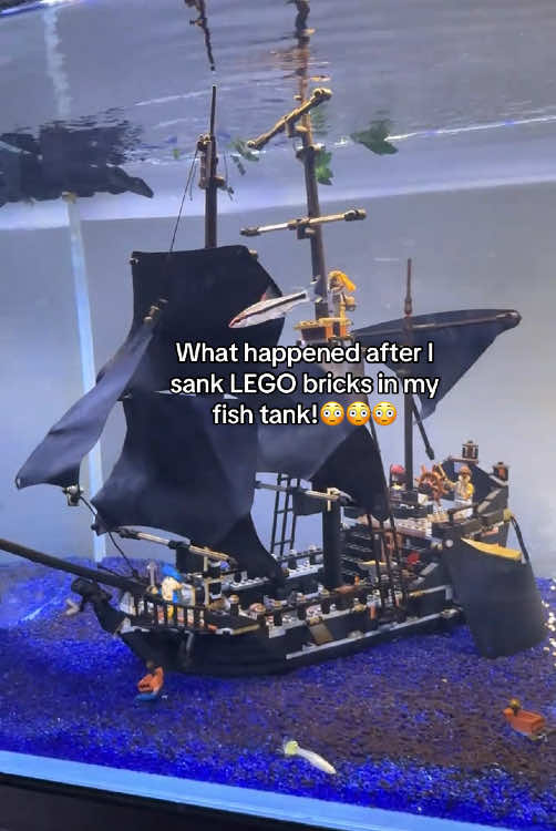 Mr. Bombastic #fypシ #trending | Kandiibliiss12♥️ (@kandiibliiss12)