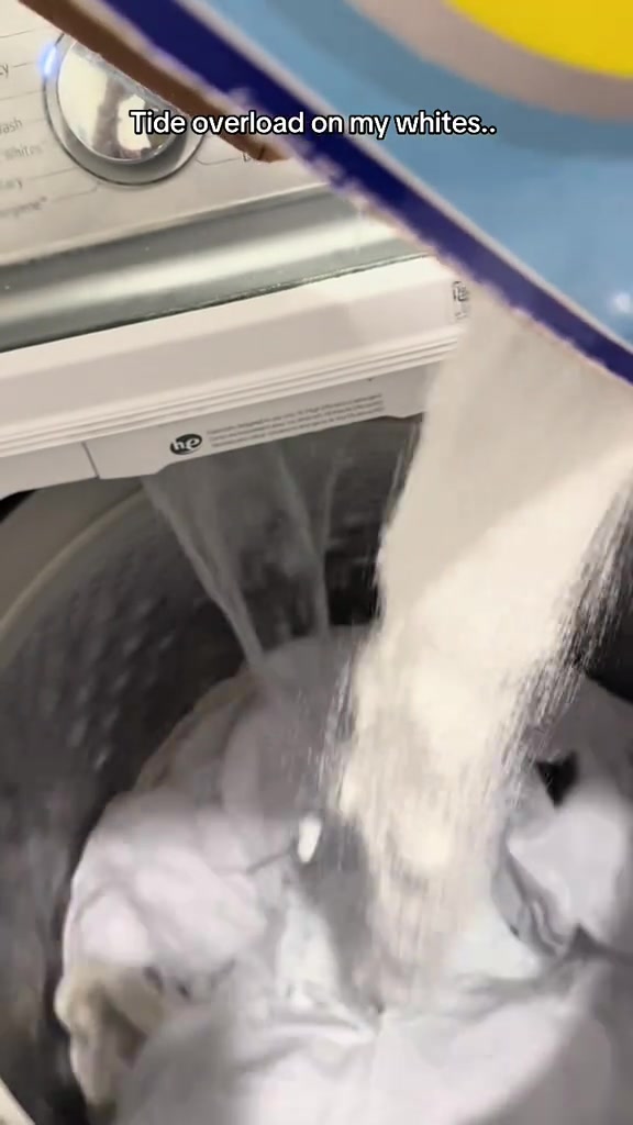 How to Get Ssw floppy,Wrath scylla | bludtwinkels (@bludtwinkels000)