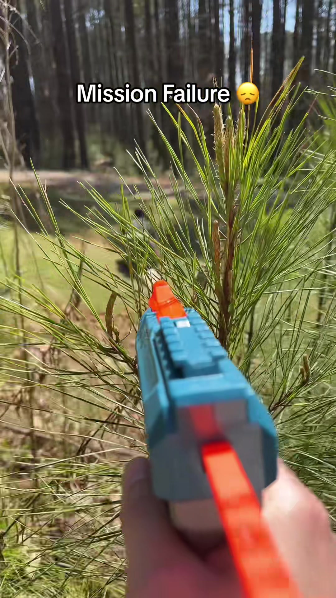 alwayssofia (@sofiasfunlittlesecret) - Urlebird