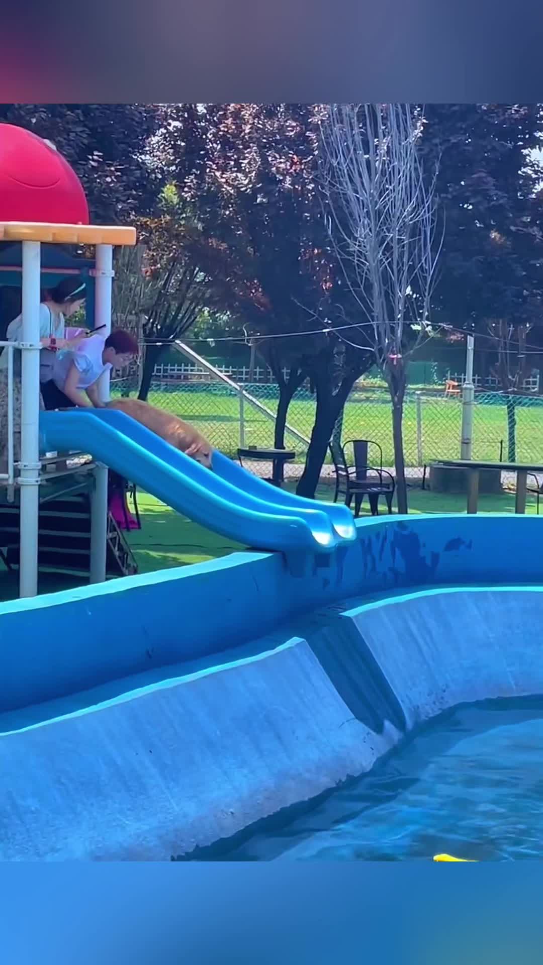 Script Voidware 99 Nights рџњі рќђњрќђ рќђ рќђћрќђ рќђі Mf Gotz