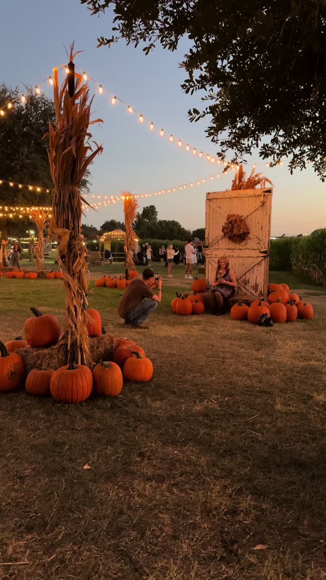 Here are my tips that allowed me to get | Sukavision (@sukavision)