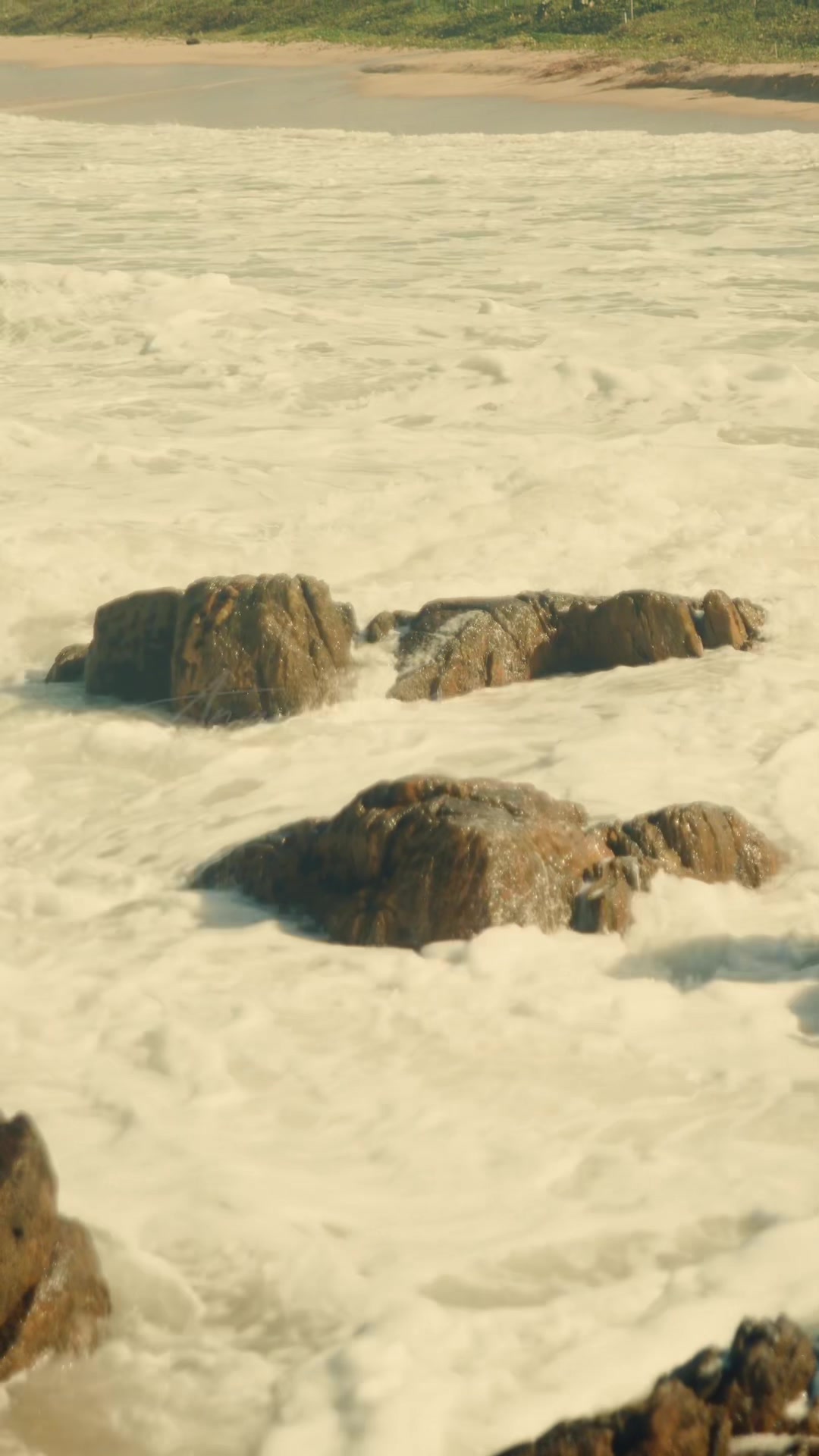 Ana Clara Luz (@iam.anaclaraluz) - Urlebird