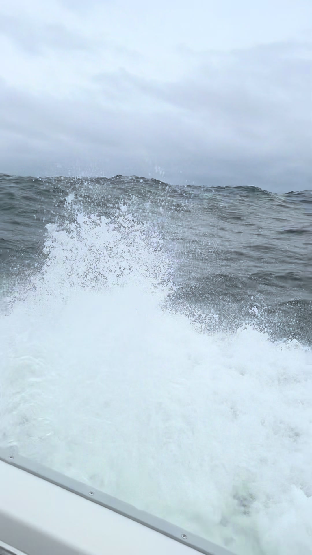 The Big Dan Show (@the.big.dan.show3) - Urlebird