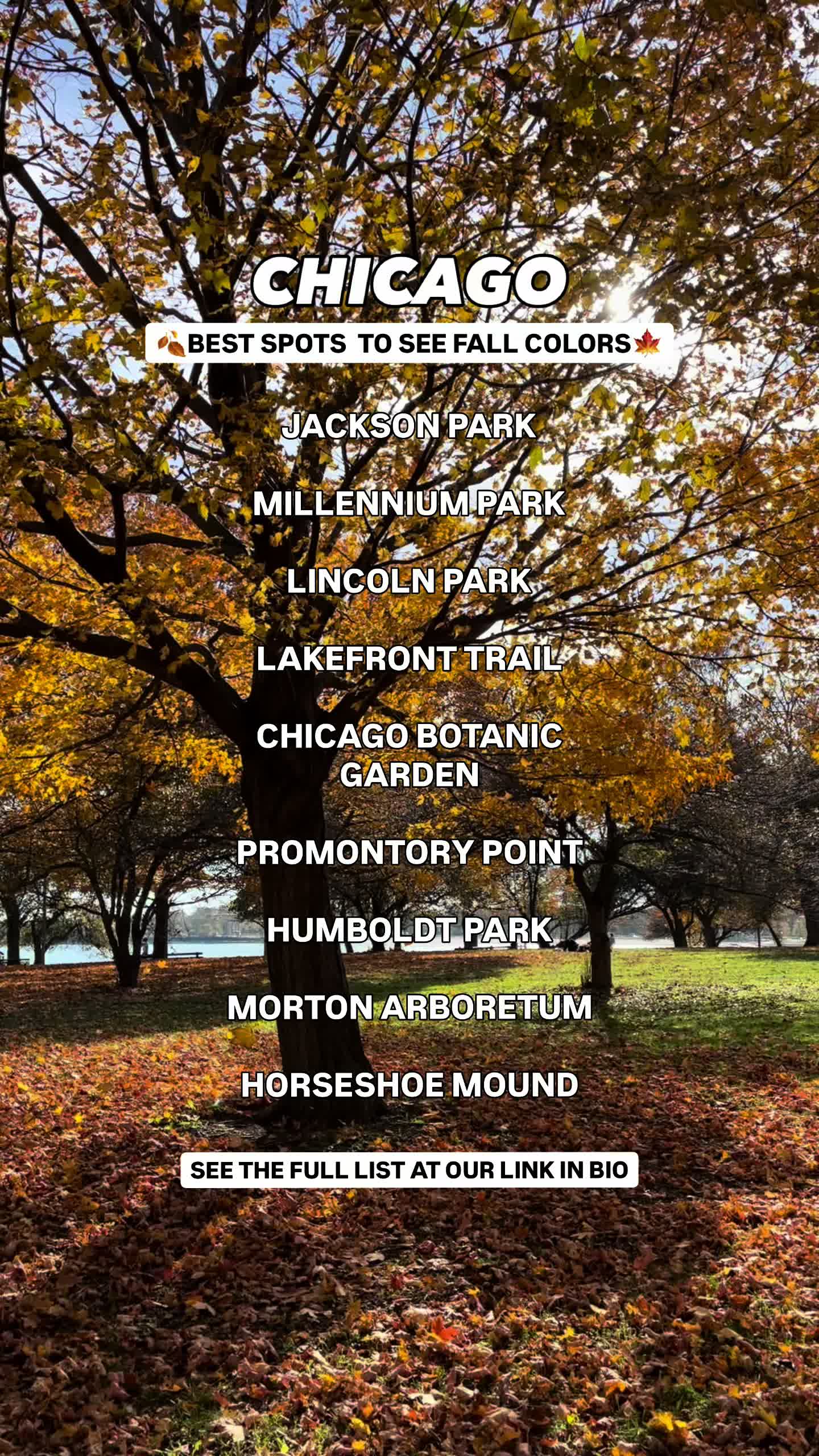 What’s your favorite spot to see fall | Chicago Bucket List ...