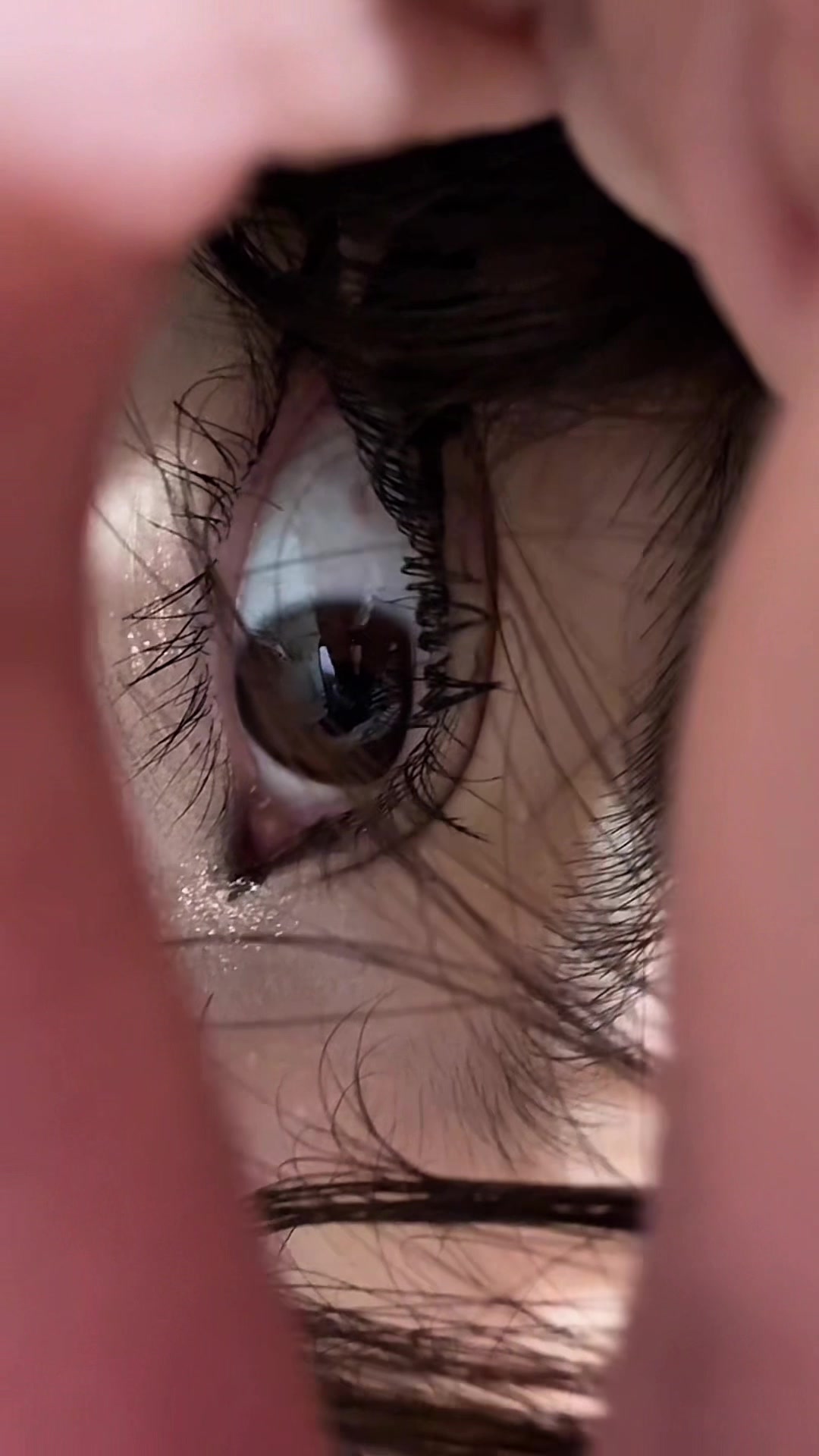 nym メ (@sanymaaa) - Urlebird